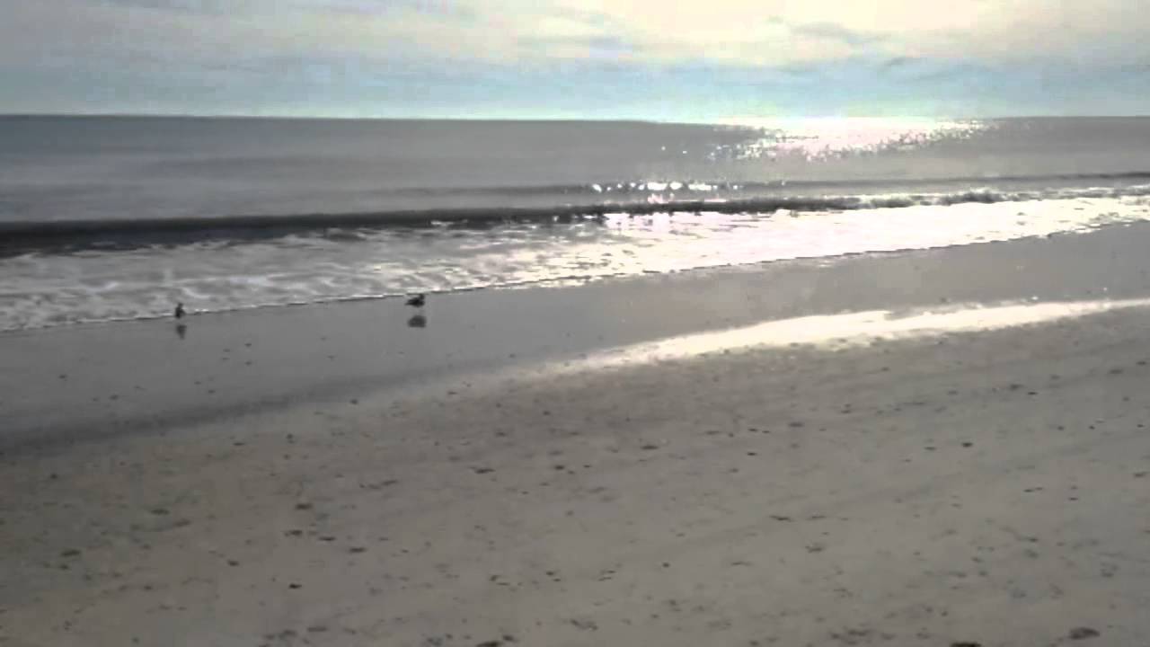 Wave Wednesday December 17 - YouTube