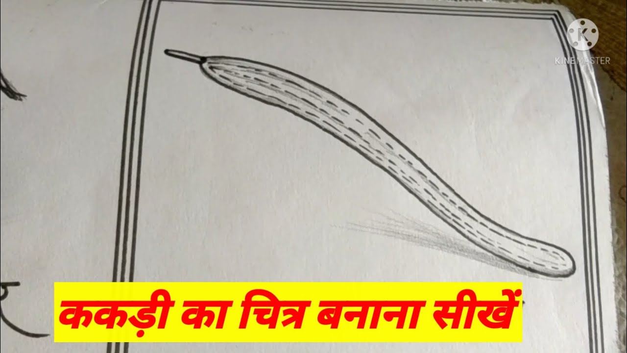 ककड़ी का चित्र बनाना सीखें || learn art || art for exam || ridge gourd ...