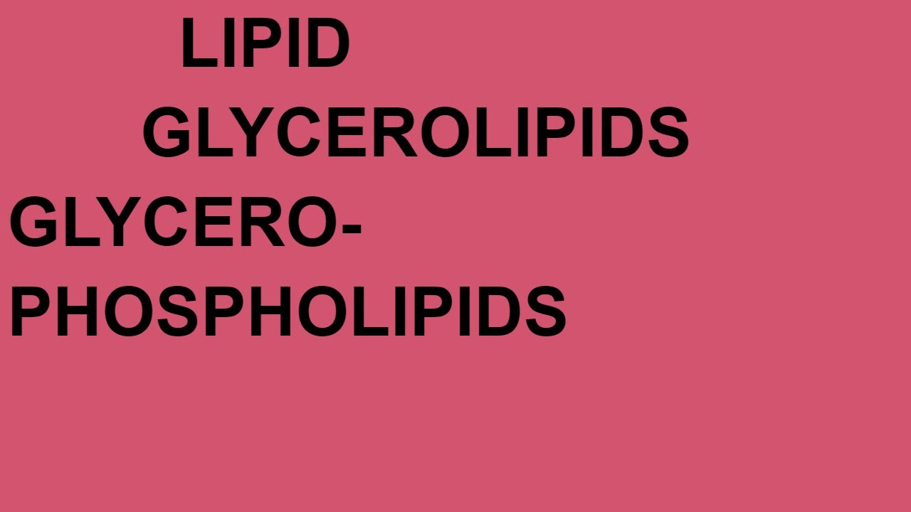 LIPID GLYCEROLIPIDS AND GLYCEROPHOSPHOLIPIDS - YouTube