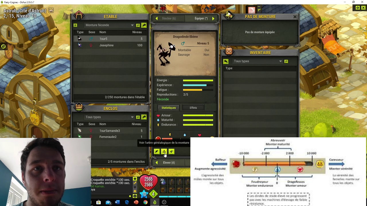 Dofus: Elevage de dragodinde (Facile ) - YouTube