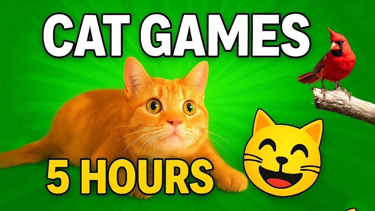 CAT GAMES | Keep Your Cat Active and Happy😼 5 Hours of Fun - Episode 25 ...