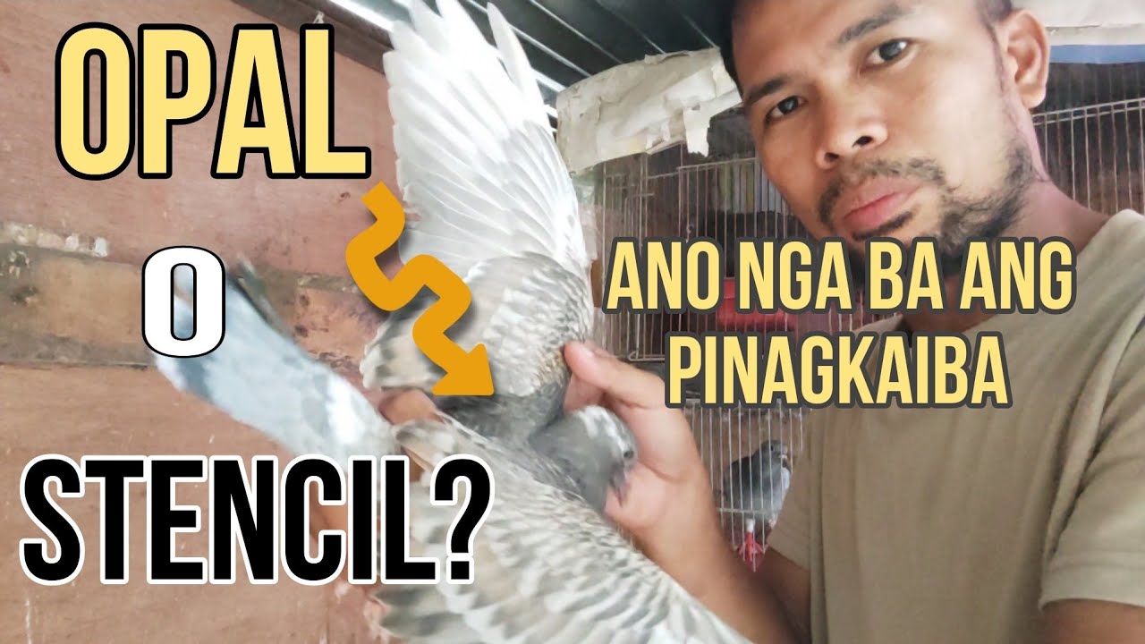 Opal at Stencil ano ang pagkakaiba? - YouTube