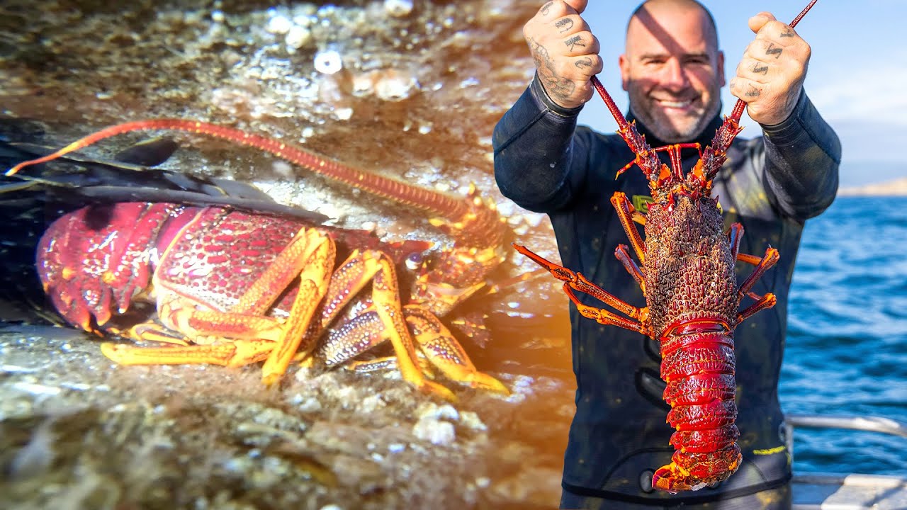 Diving & Filming Australian Rock Lobster! - YouTube