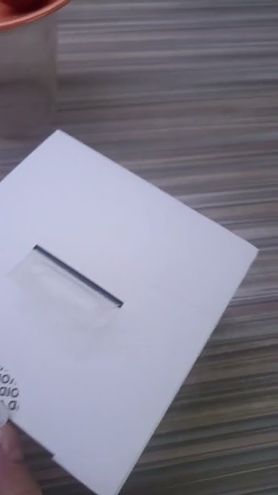 Ирбис Алиса - YouTube