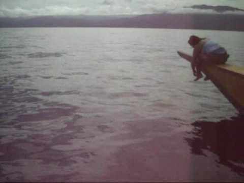 Cebu Tour Guide DOLPHIN WATCHING - YouTube