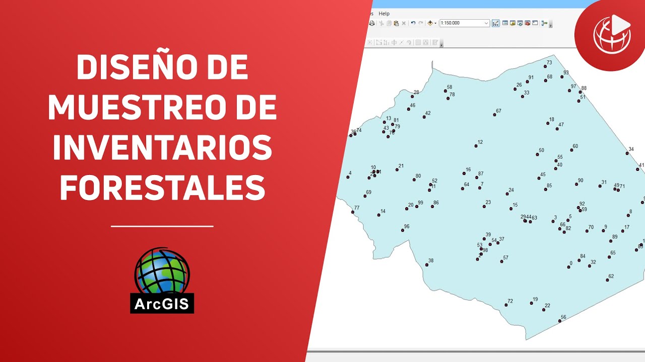 Diseño de muestreo de inventarios forestales con ArcGIS 🌳 - YouTube