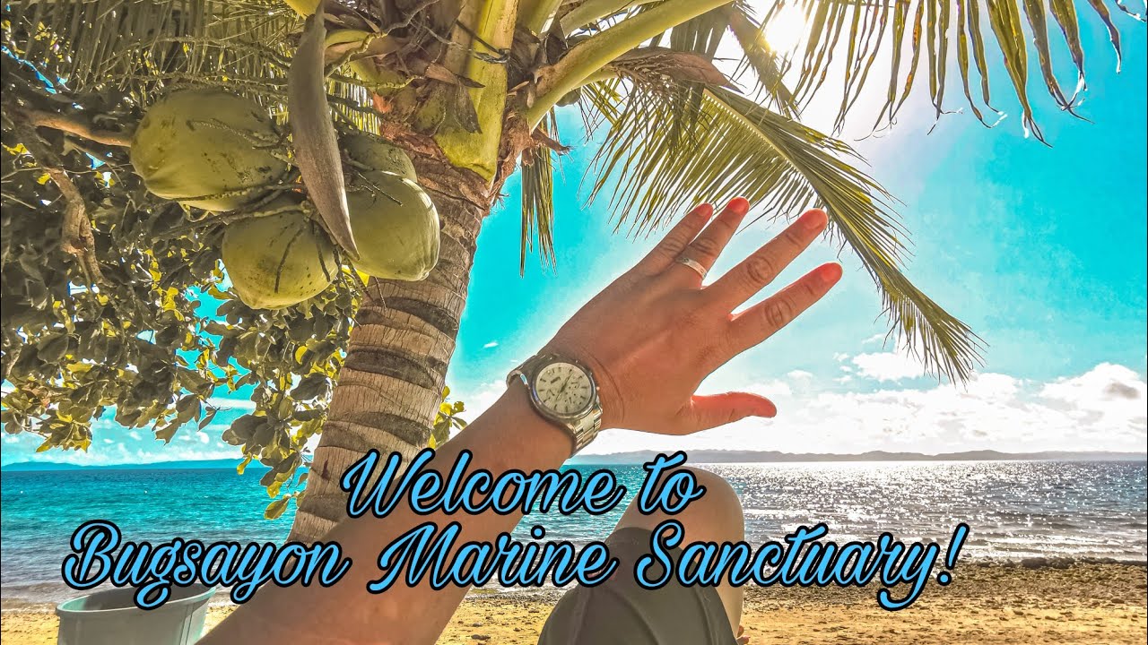 Come to Bugsayon Marine Sanctuary!|B. Titong Masbate City|MarYongsVlog ...