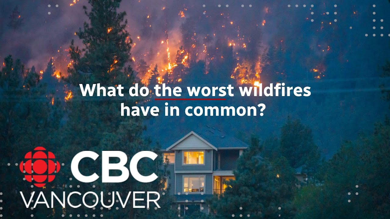 What do the most destructive wildfires have in common? - YouTube