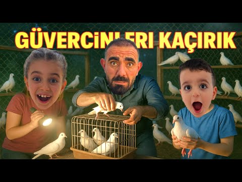 POYRAZ ELİF KUZENLERİN GÜVERCİNLERİNİ KAÇIRDI!!