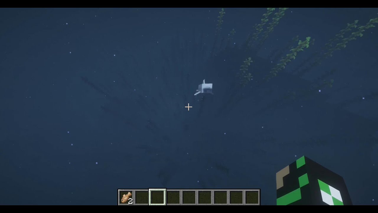 Minecraft Music Video - relax and chill underwater world / shader ...