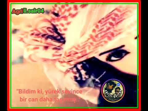 le zalime 💔🥀 İnstagram story ve WhatsApp durumları için Kürtçe Türkçe karışık şarkı kısa video #şiir