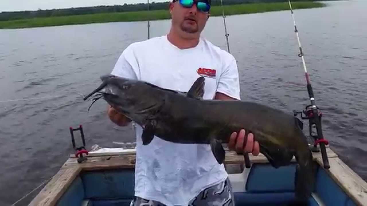 Nnys Catfish Hunter and Addya Hooks - YouTube