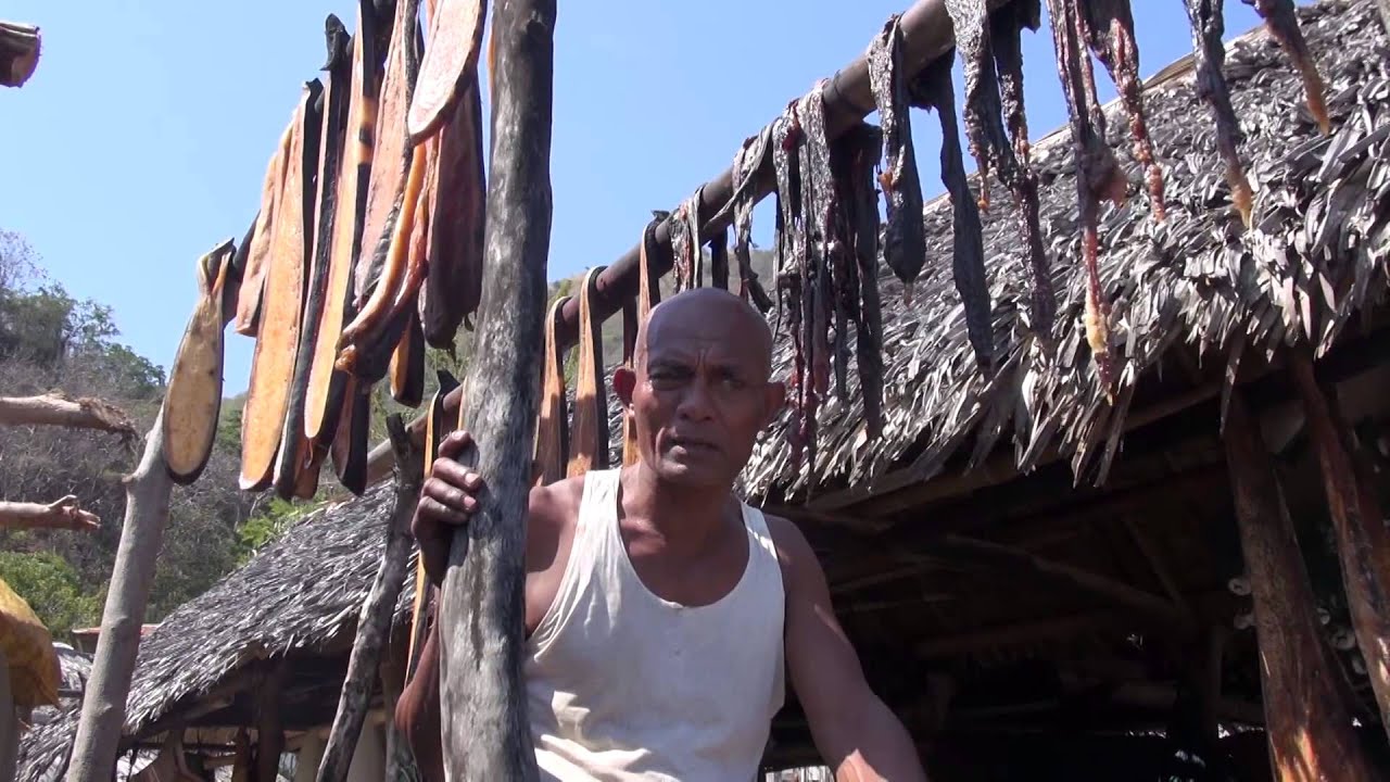 Lamalera's Whaling: Penangkapan ikan Paus Lamalera ラマレラ村の伝統捕鯨 - YouTube