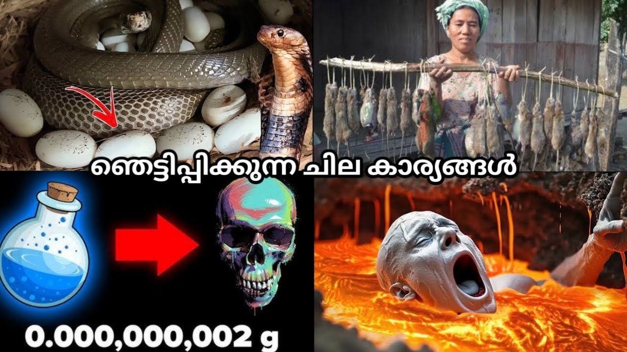 SARSHAD WORLD Amazing Facts Show -Episode 29 - YouTube