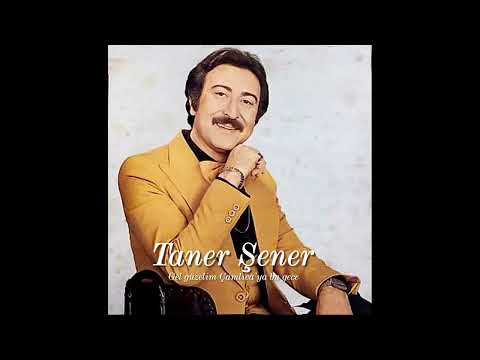 Taner Şener ~ Gel güzelim Çamlıca’ya bu gece