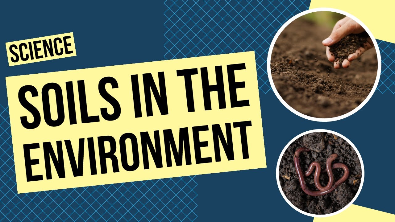 All About Soils in the Environment - YouTube