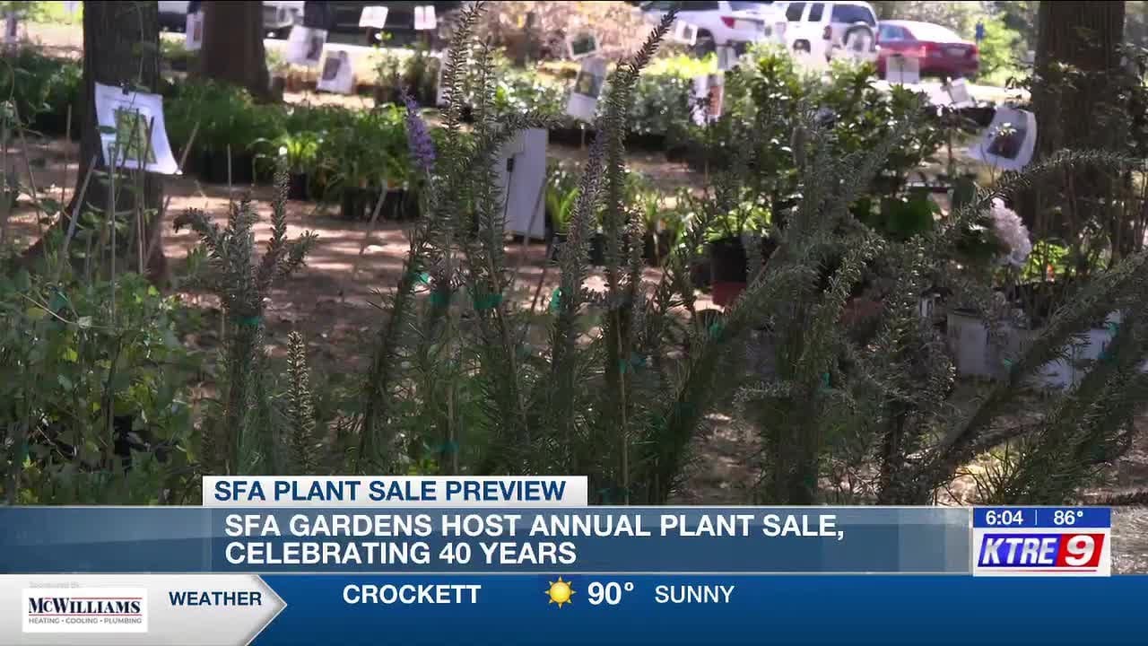 SFA Gardens fall plant sale to open Saturday - YouTube