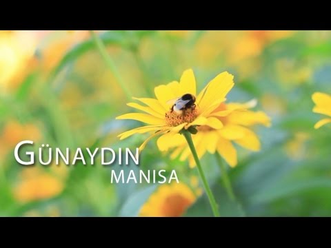 Günaydın Manisa - 3 Aralık Dünya Engelliler Günü