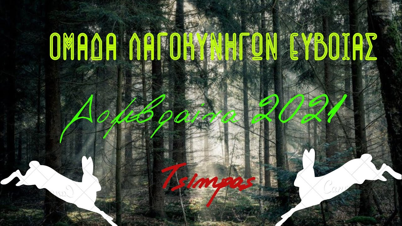 ΚΥΝΗΓΙ ΛΑΓΟΥ - ΔΟΜΒΡΑΙΝΑ 2021 - YouTube
