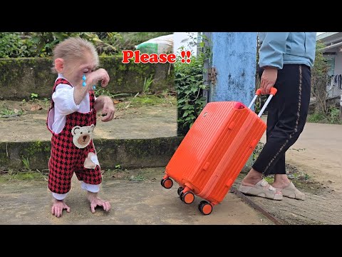 Baby monkey Xuka was very sad because her aunt had to go away to work!