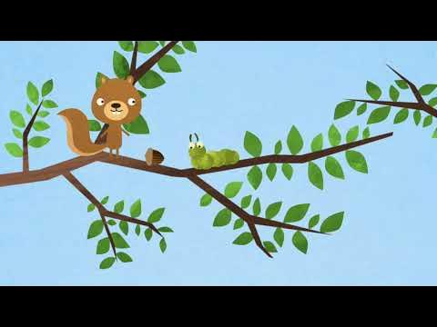 The Busy Little Squirrel A Story About Charity - YouTube