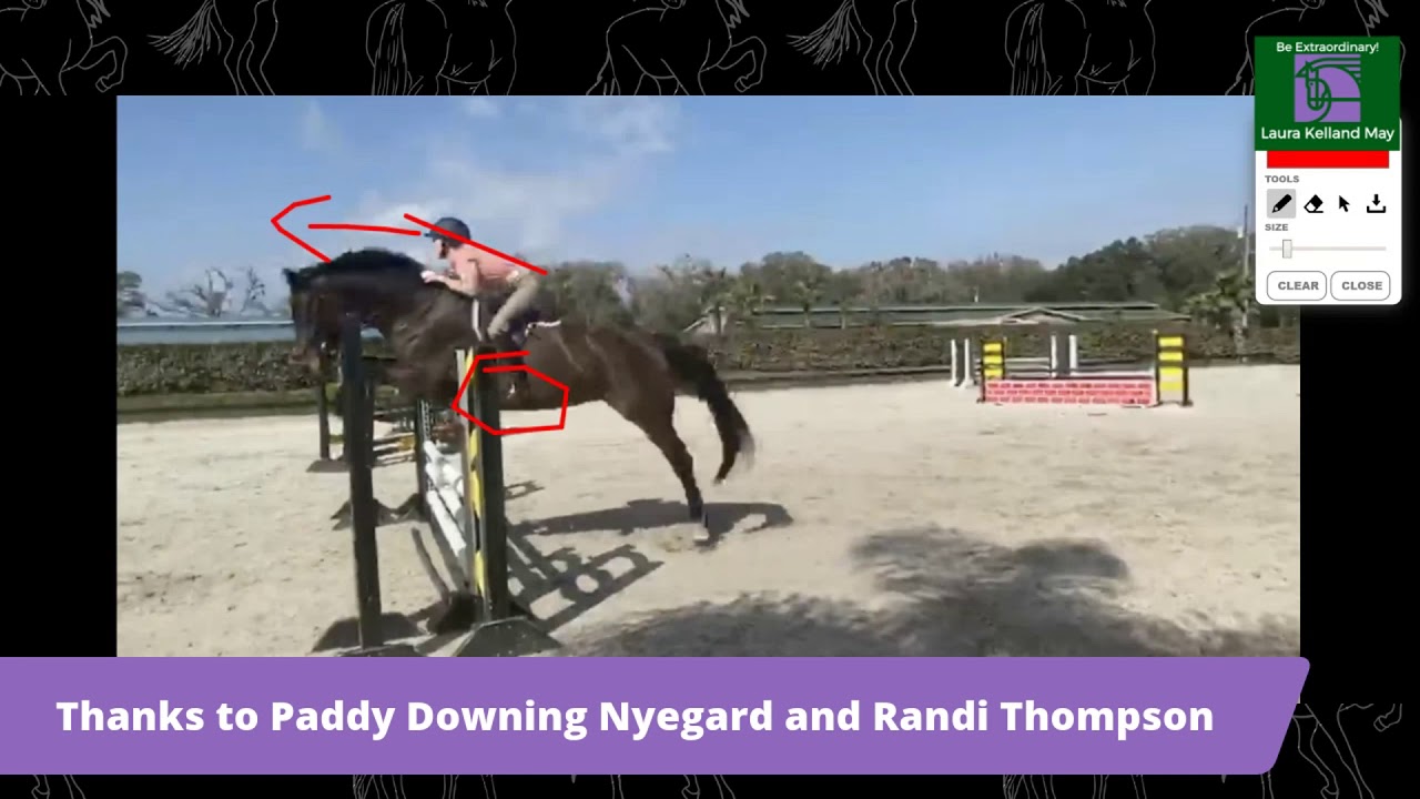 Horse Riding Position Review and Equitation Tips - YouTube