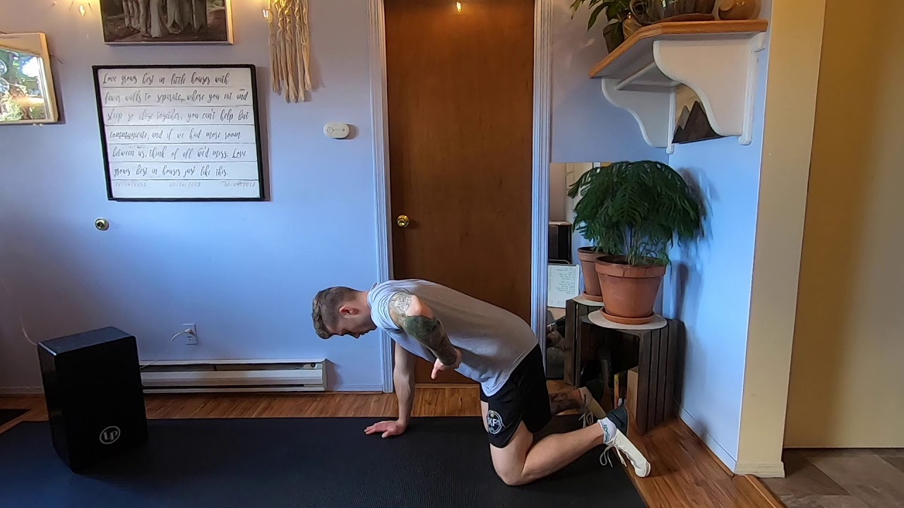 All 4 Belly Lift | Exercise Demo - YouTube