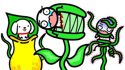 dumb doggo - YouTube