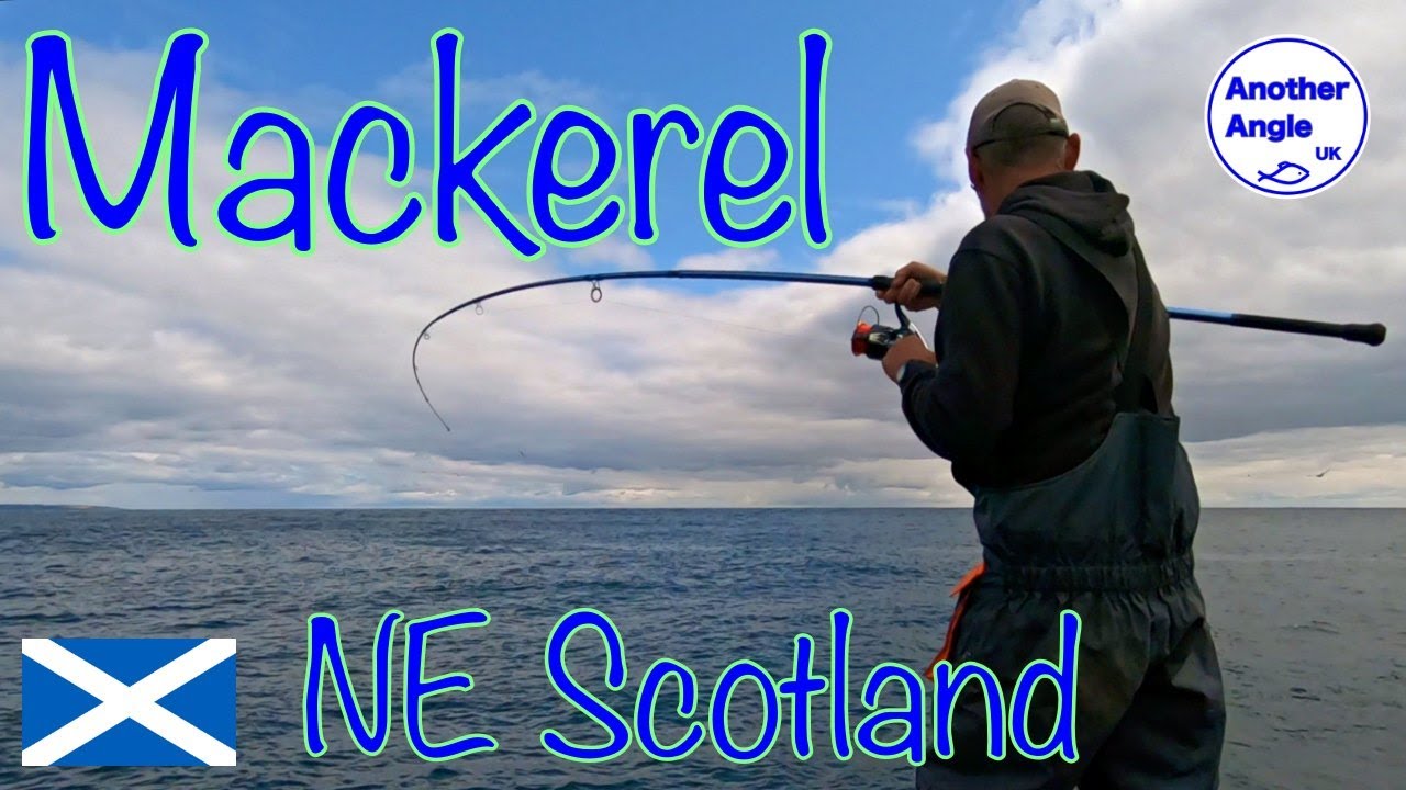 Mackerel fishing from the shore : North East Scotland : Aberdeenshire - YouTube