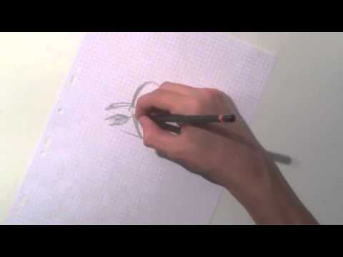 Heart Speed Drawing - YouTube