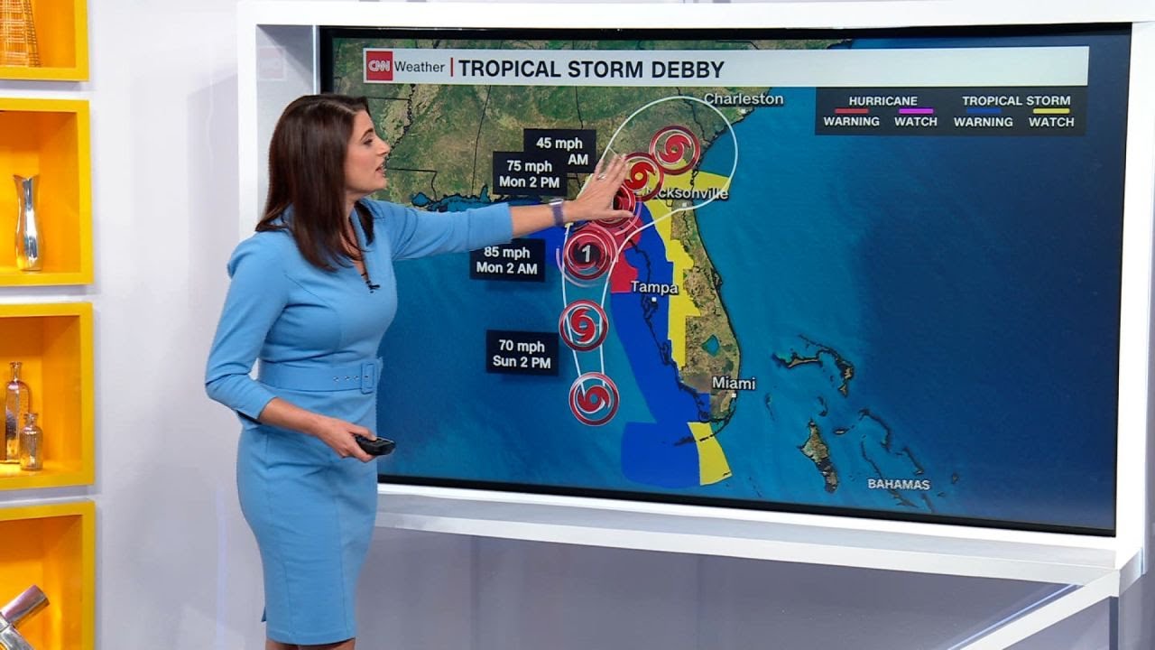 Tropical Storm Debby: From Disruption to Hurricane - YouTube
