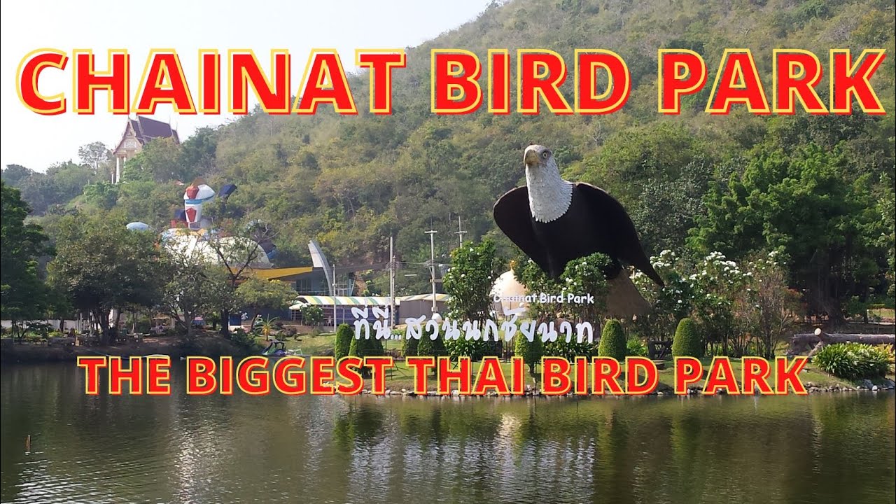 CHAINAT BIRD PARK - THE BIGGEST BIRD PARK IN THAILAND - สวนนกชัยนาท ...