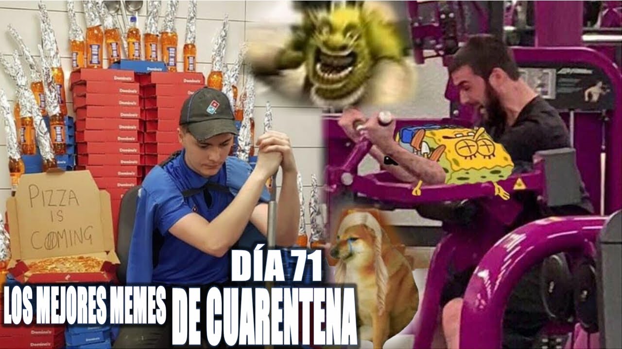 LOS MEJORES MEMES DE LA CUARENTENA | MEMES DIA 71 DE LA CUARENTENA ...