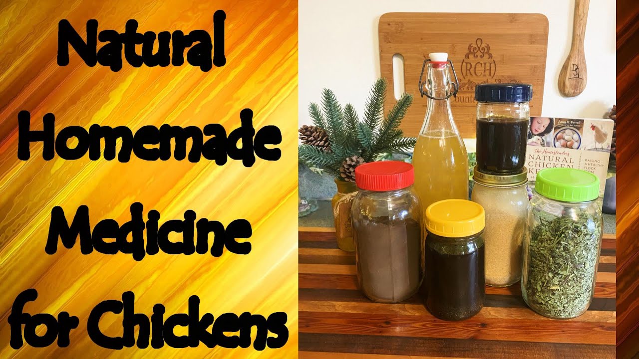 Multi Purpose Homemade Natural Chicken Medicine - YouTube