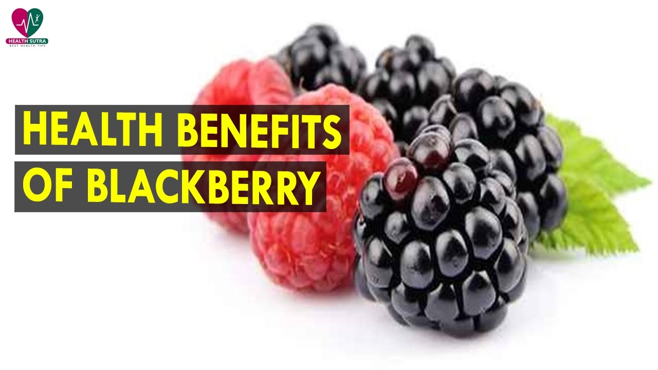 Health Benefits Of Blackberry || Health Sutra - Best Health Tips - YouTube