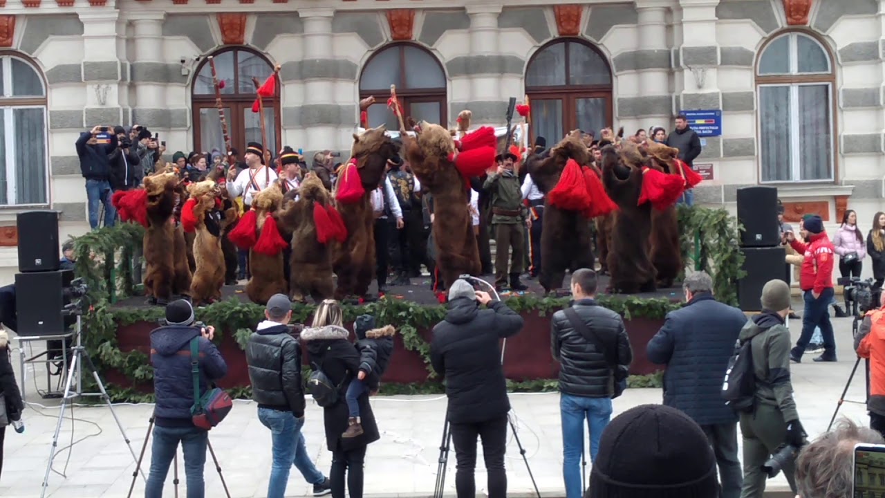 Reprezentatia Ursilor de pe Valea Trotusului, Dofteana,Darmanesti,Asau ...