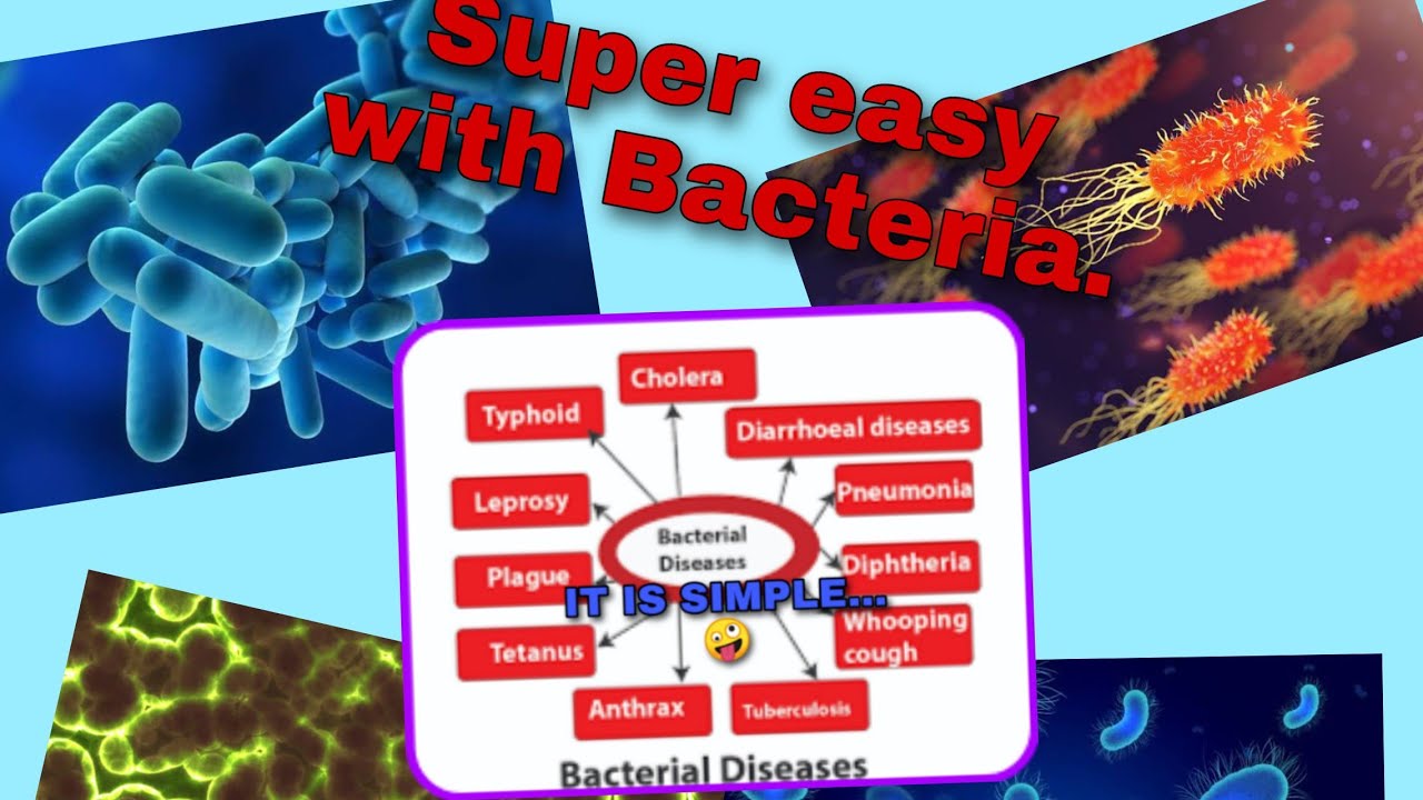 Common Bacterial Diseases in humans ( Human Health and Disease ) NEET ...