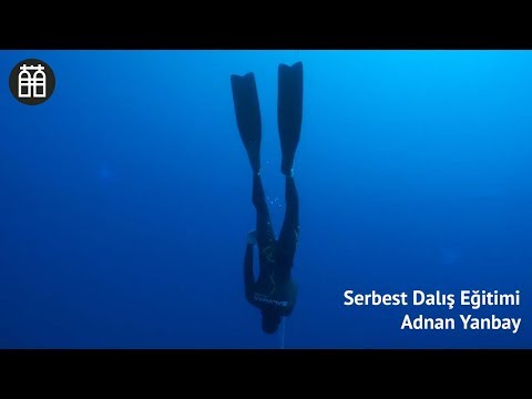 Serbest Dalış Eğitimi