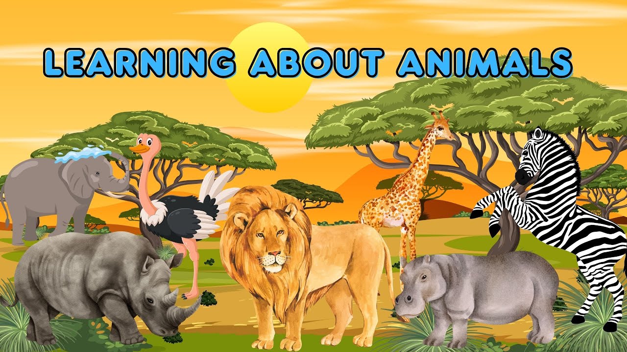 Let’s Meet Animals | Educational Cartoons | Learning About Animals ...