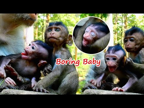 Boring baby with this time - YouTube