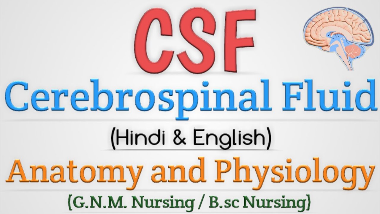 CSF Cerebrospinal Fluid Anatomy And Physiology In Hindi YouTube csf-cerebrospinal-fluid-anatomy-and-physiology-in-hindi-youtube