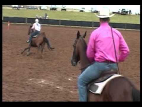 ABCRA National Finals Campdraft, January 2012 Highlights - YouTube