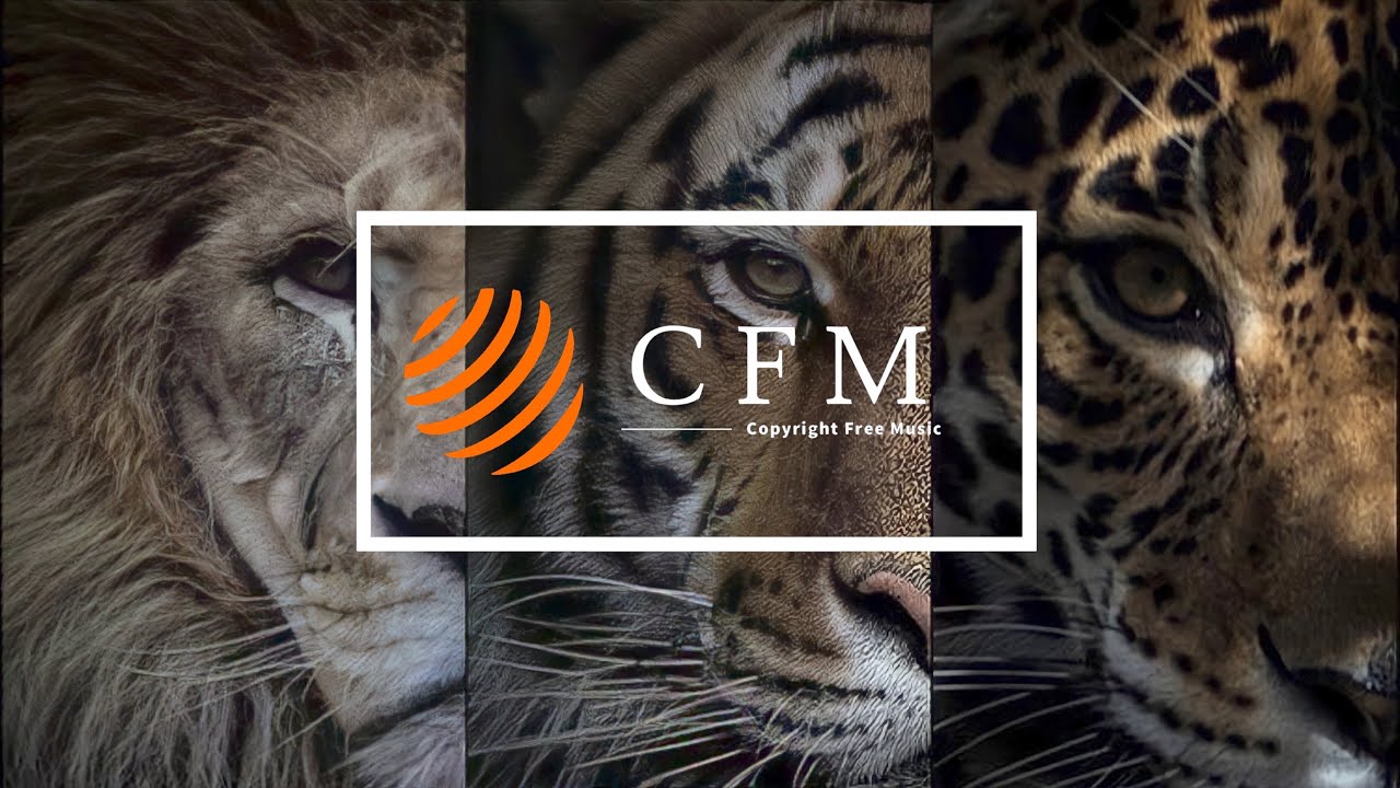 CFM The Best Chill music🎧🎧 January 2022 Part 31 #NocopyrightMusic - YouTube