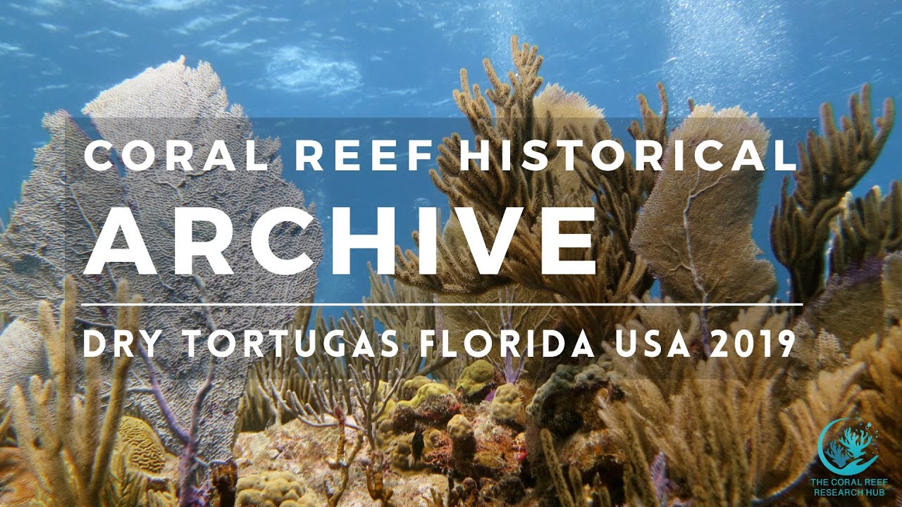 Coral Reefs in USA: Dry Tortugas Florida 2019 Historic Archive Marine ...