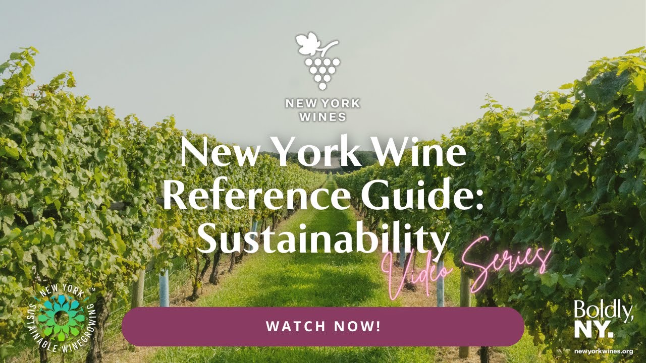 New York Wine Reference Guide: Sustainable New York Wines - YouTube