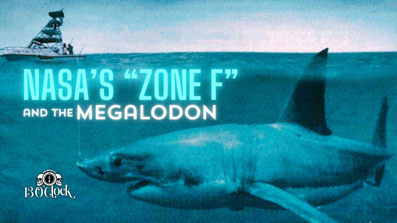 Episode 386: NASA's Zone F and the Megalodon - YouTube