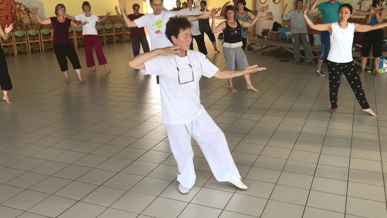 24 postures taiji yang - YouTube