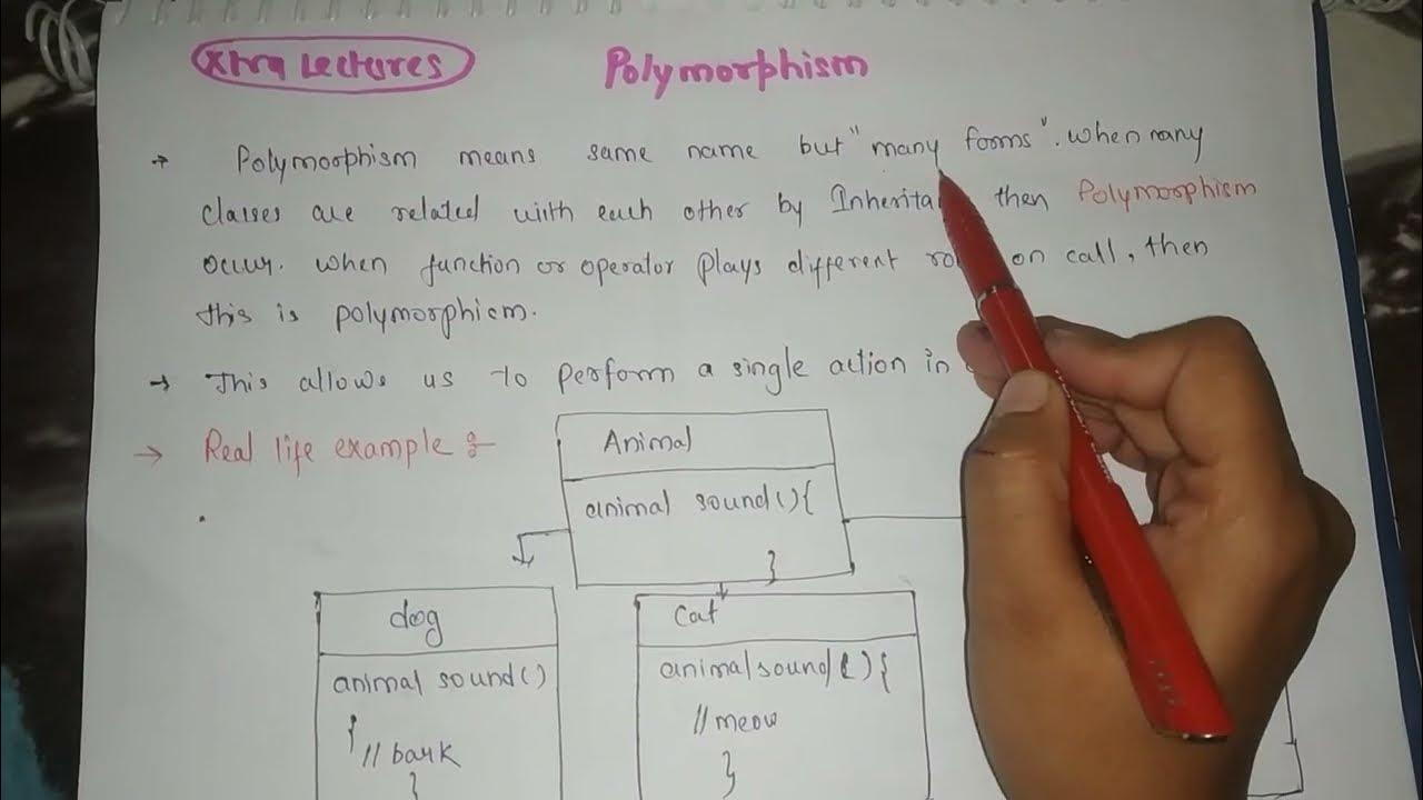 Polymorphism in C++ hindi | types of polymorphism | compile time & run ...