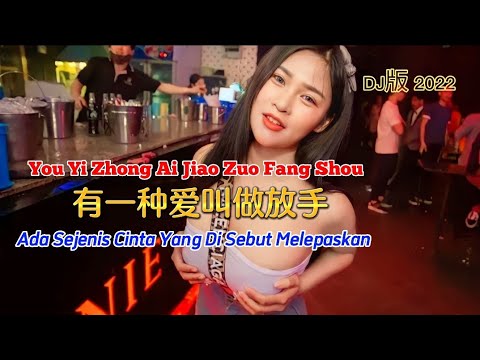 DJ版 2022 - 有一种爱叫做放手 - You Yi Zhong Ai Jiao Zuo Fang Shou - Remix #dj抖音版 - YouTube
