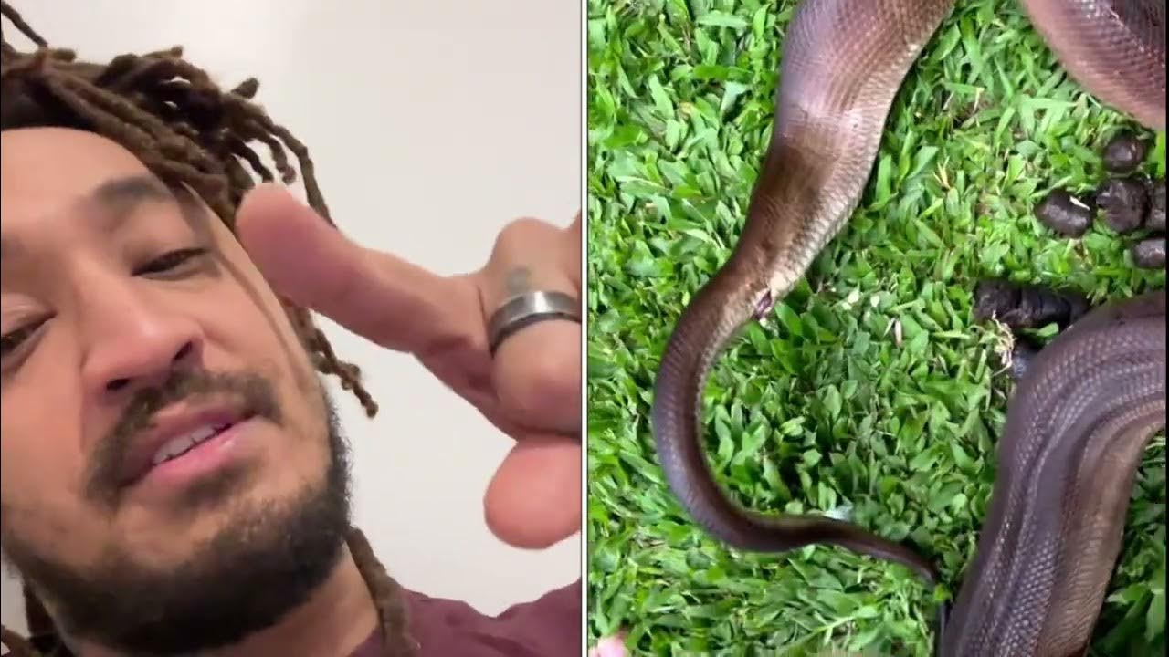 Snakes Take HUGE Poops🐍💩 - YouTube